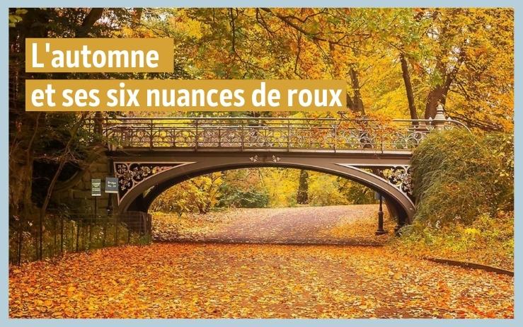 C’est l’automne à New York : en voici la preuve